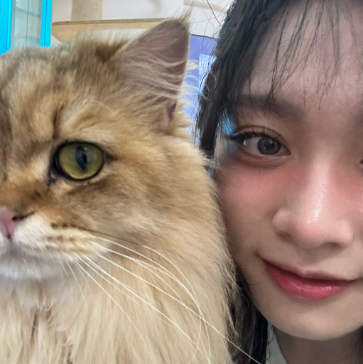 运气爆棚的啾啾 