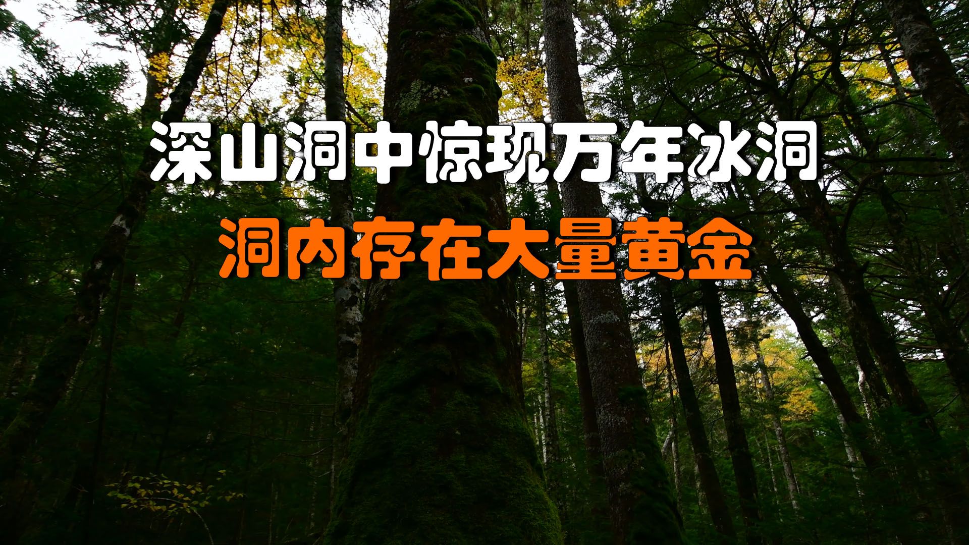 深山洞中惊现神秘宫殿,殿内存在大量黄金,真实情况让人叹为惊止