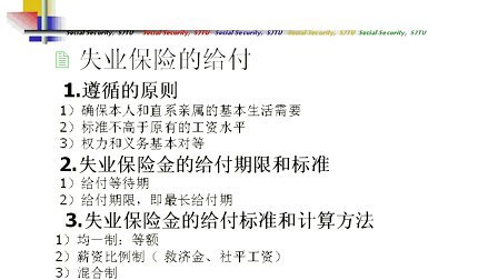 社会保障与福利政策 29