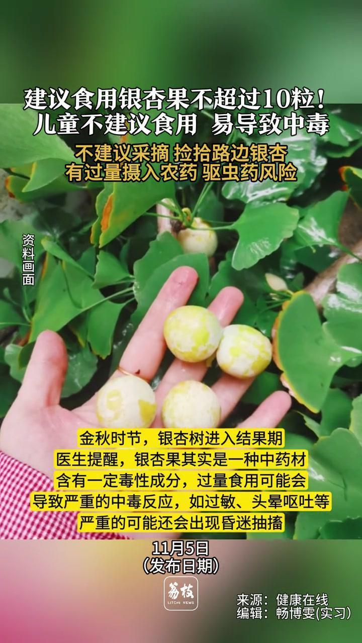 建议食用银杏果不超过10粒!儿童不建议食用易导致中毒不建议采摘...