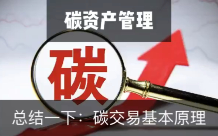 碳资产管理含金量总结一下,碳交易基本原理?