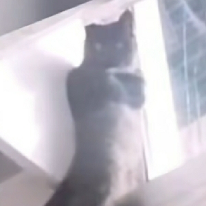 Atraks1FallenEXO 