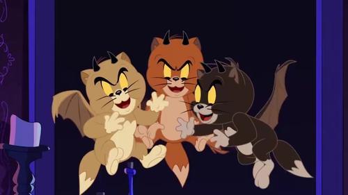 猫和老鼠:新来三只小猫,竟然一个比一个厉害,把汤姆.