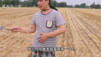 现代农业操作与传统农业相比,看农民朋友怎么说?