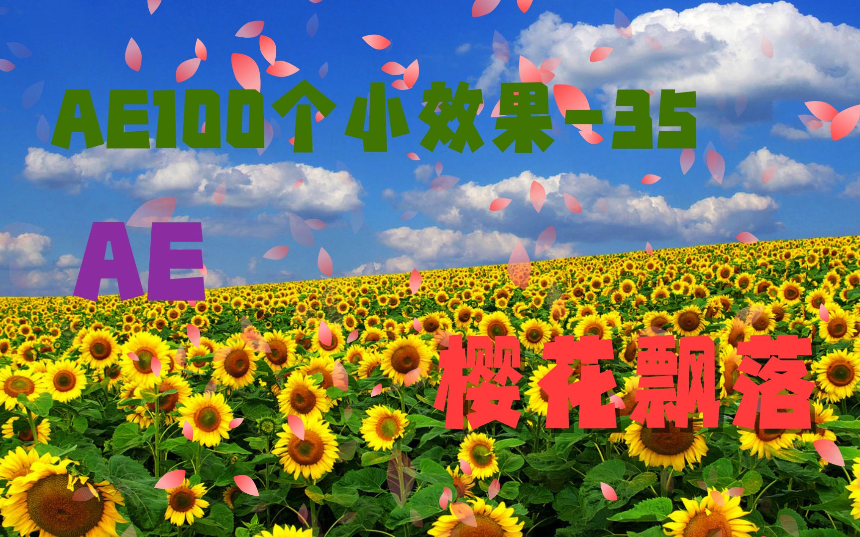 【ae小效果35】-粒子樱花飘落简单制作效果