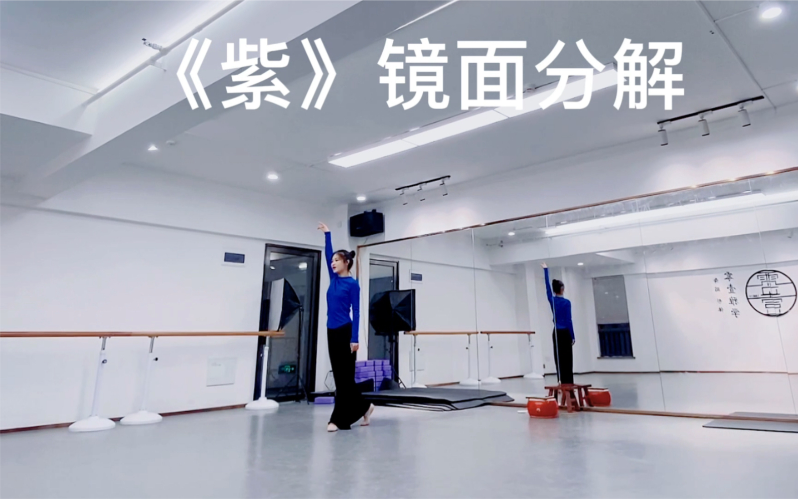 古典舞《紫》镜面分解