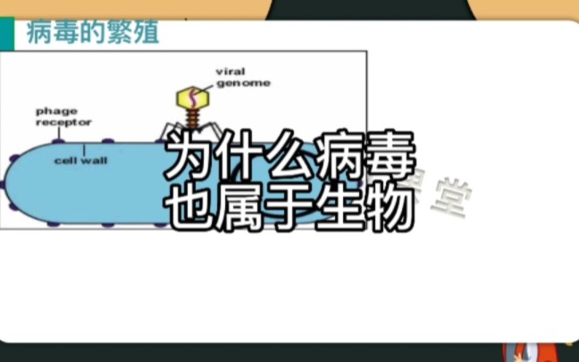 为什么病毒没有细胞结构,我们也把它划分到生物呢? #初中生物 #病毒 ...