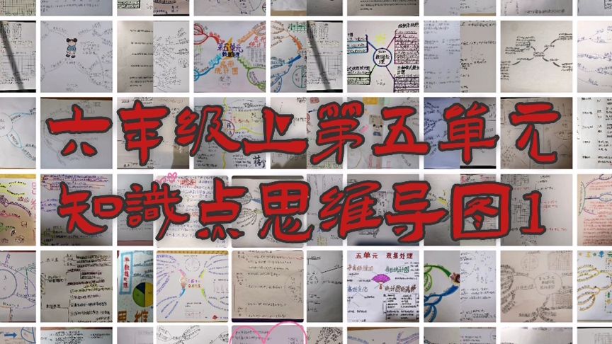 六年级上册数学第5单元思维导图1