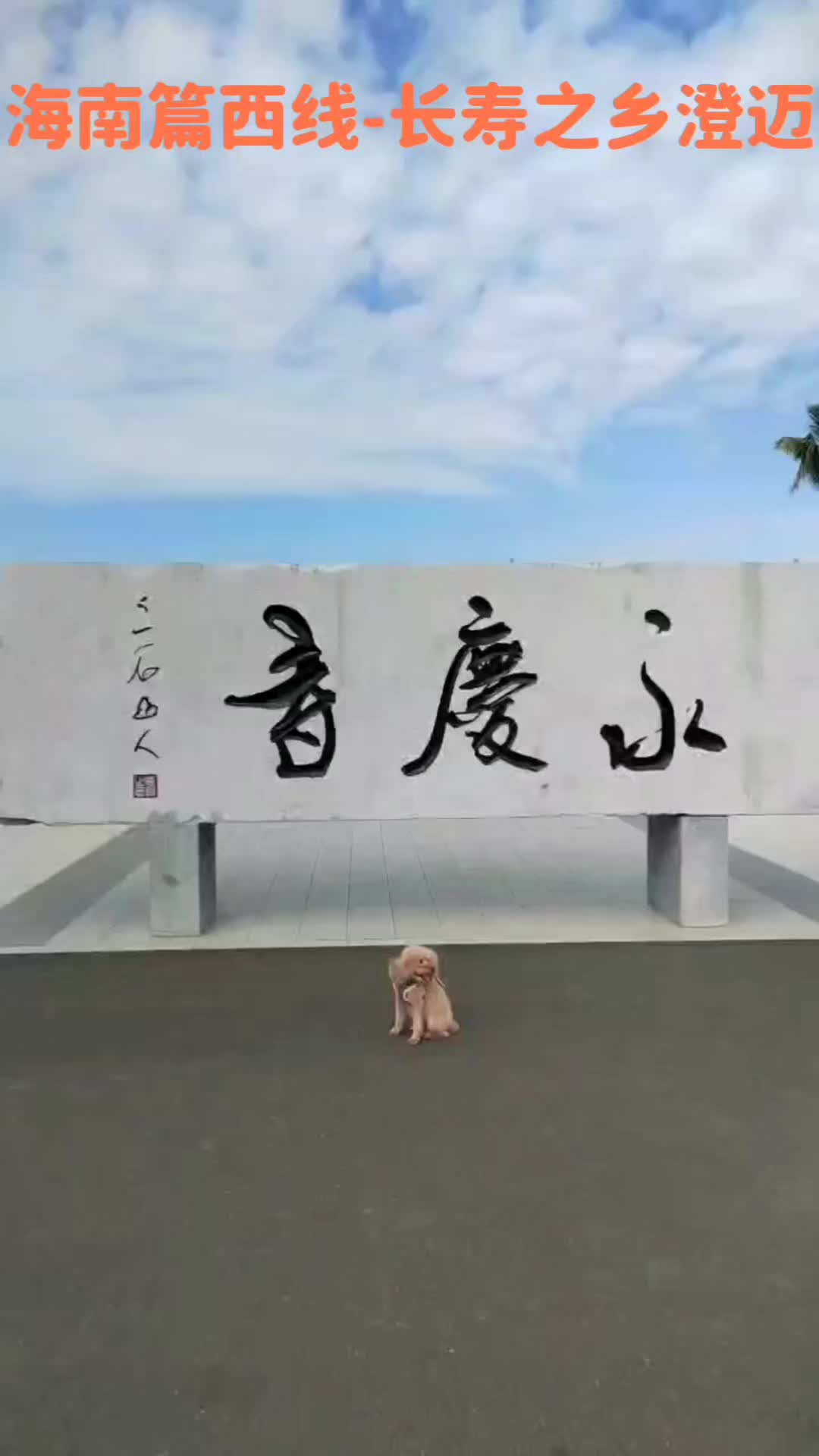 到澄迈了-这里可是世界长寿之乡啊! 海南是北冷南热,东湿西燥的气候,...