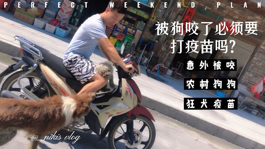 十年前打过狂犬疫苗,现在又被狗咬了,医生建议我赶紧去打疫苗