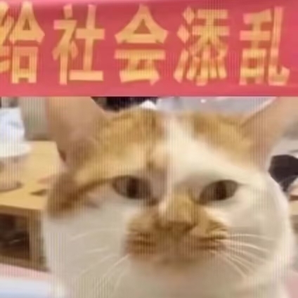 霍斯斯斯斯斯斯 