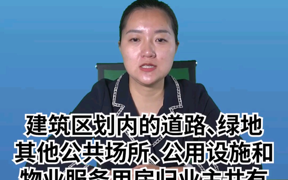 建筑区划内的道路、绿地其他公共场所、公用设施和物业服务用房归业主
