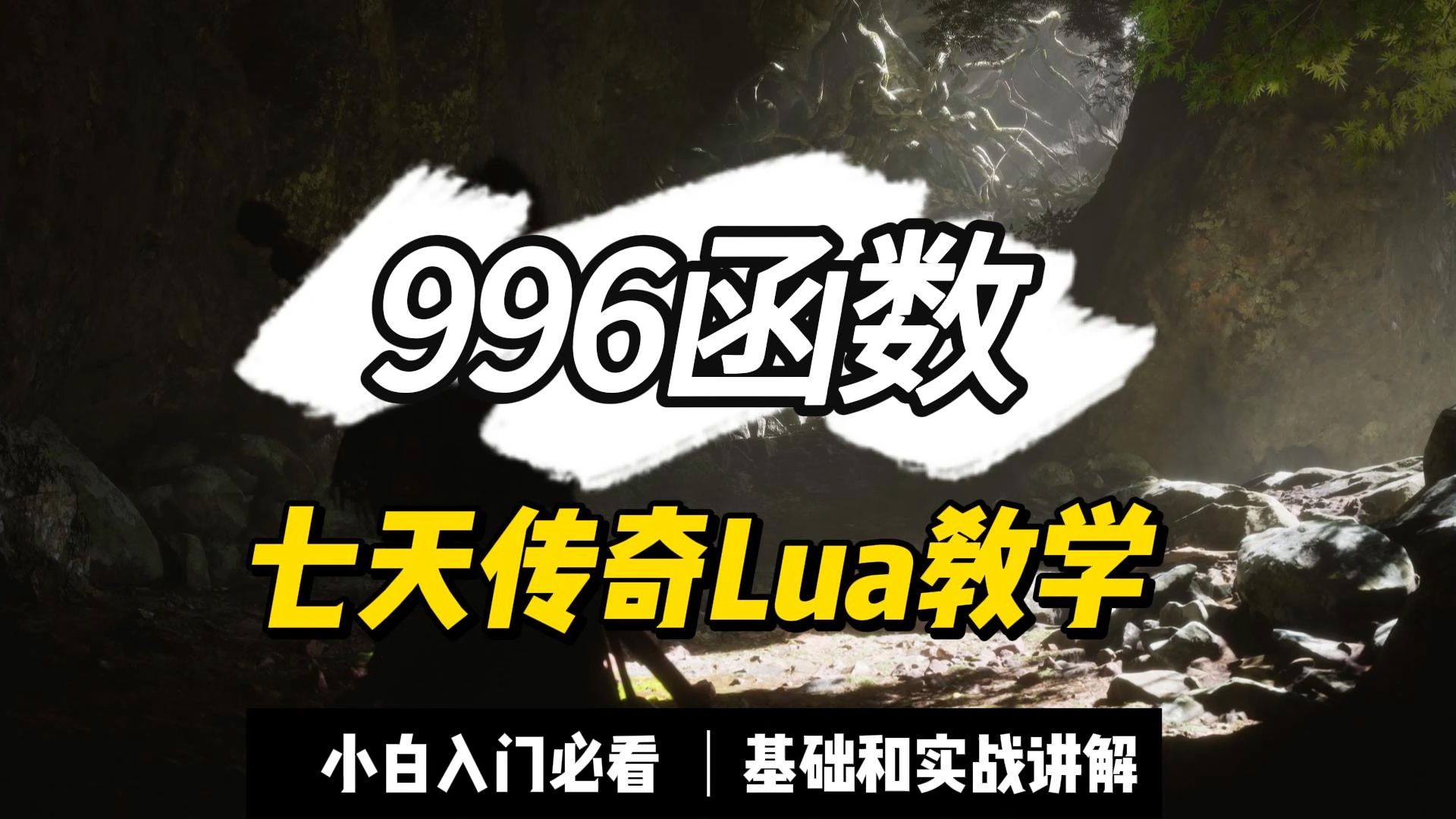 七天学会Lua - 996函数