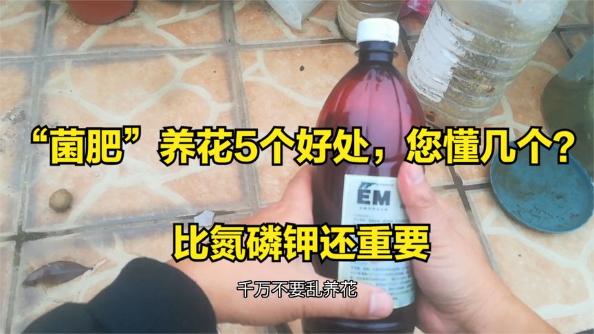 “菌肥”养花好处多!5个好处,您懂几个?比氮磷钾还重要