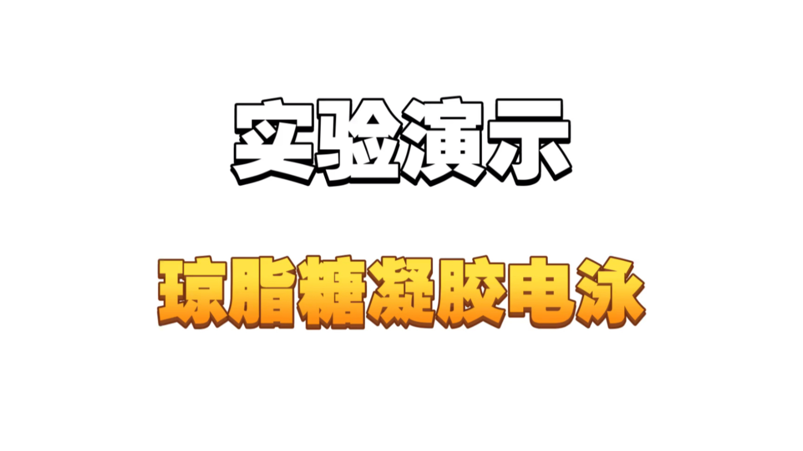 实验演示_琼脂糖凝胶电泳