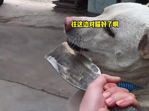 动一动你,那可得先瞅瞅自身的定位哦