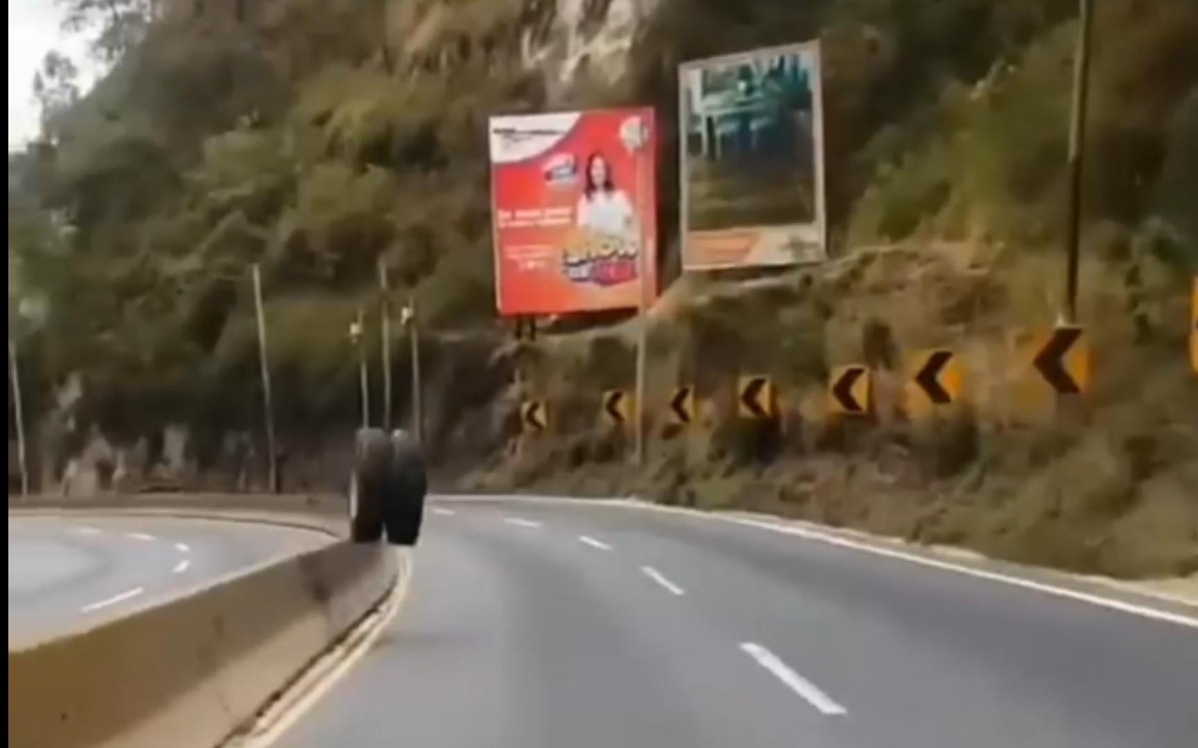 轮胎:随风滚动自由是方向~