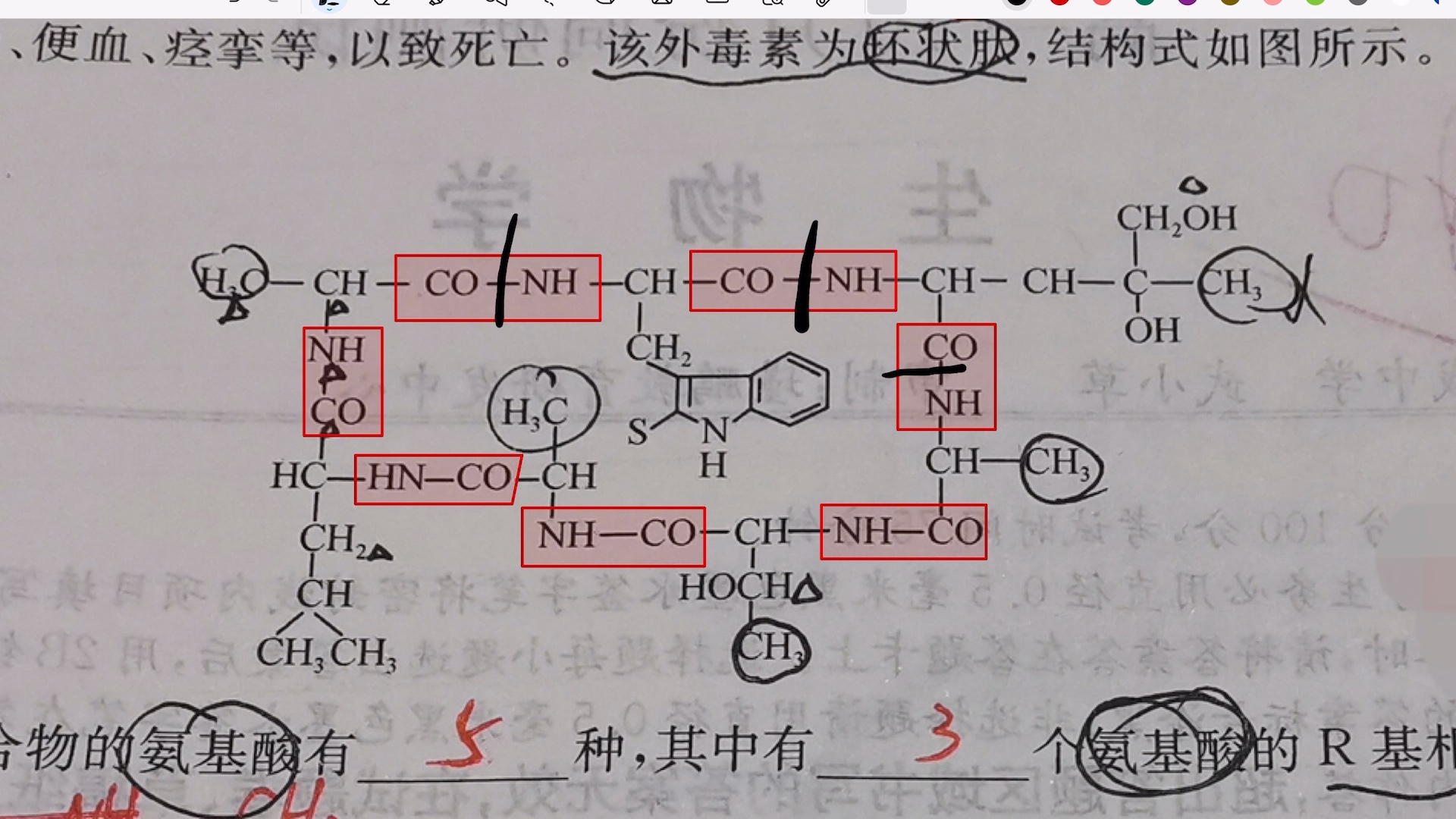 「高一答疑」氨基酸脱水缩合-确定R基的方法,环形肽
