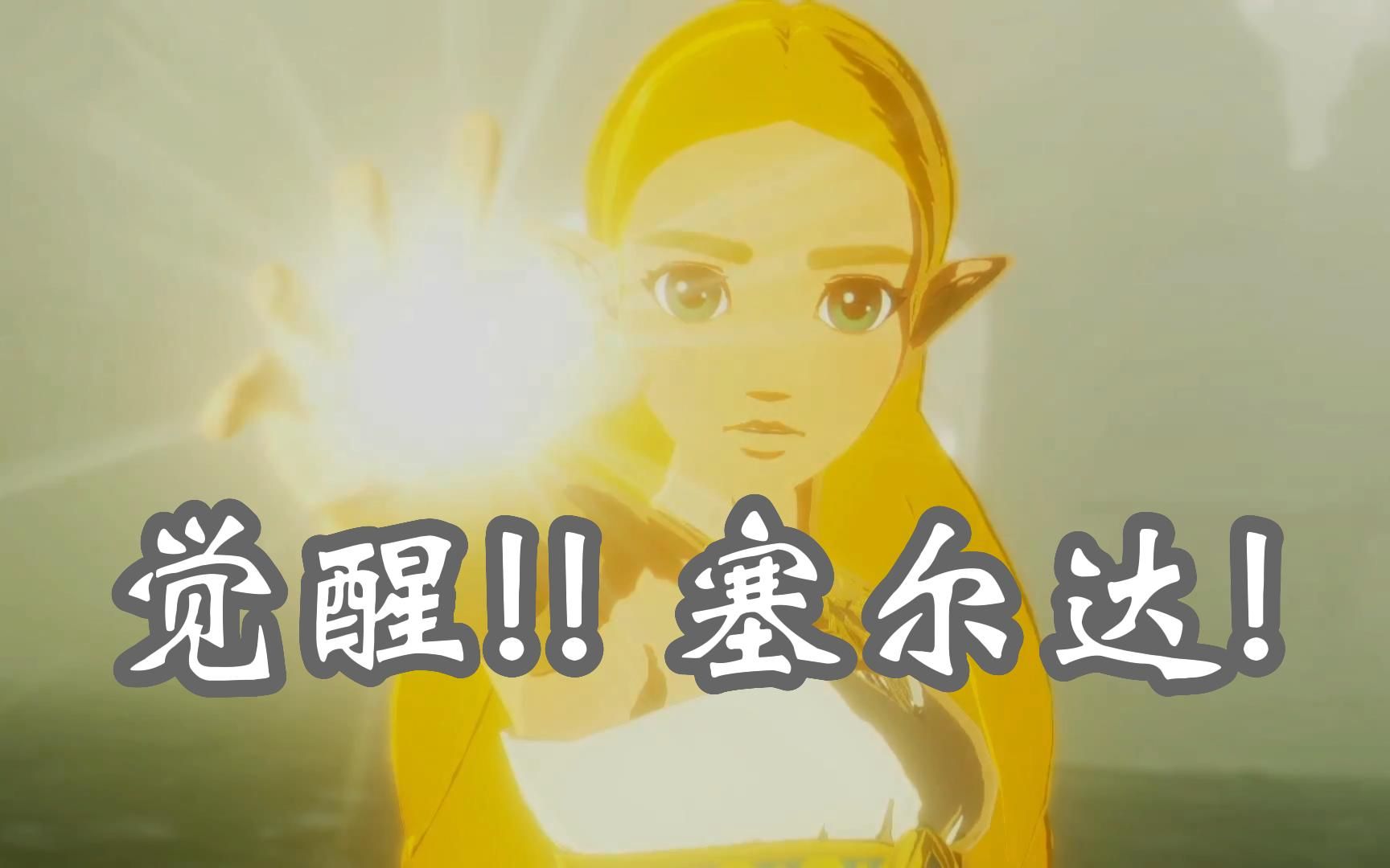 Switch塞尔达无双之塞尔达公主力量觉醒