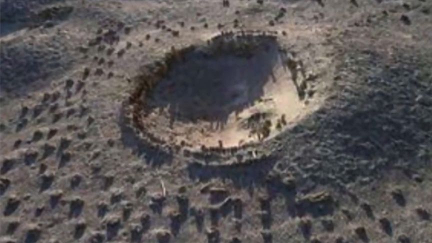 楼兰消失竟因环保没做好,为建墓大肆砍伐树木,致环境恶化