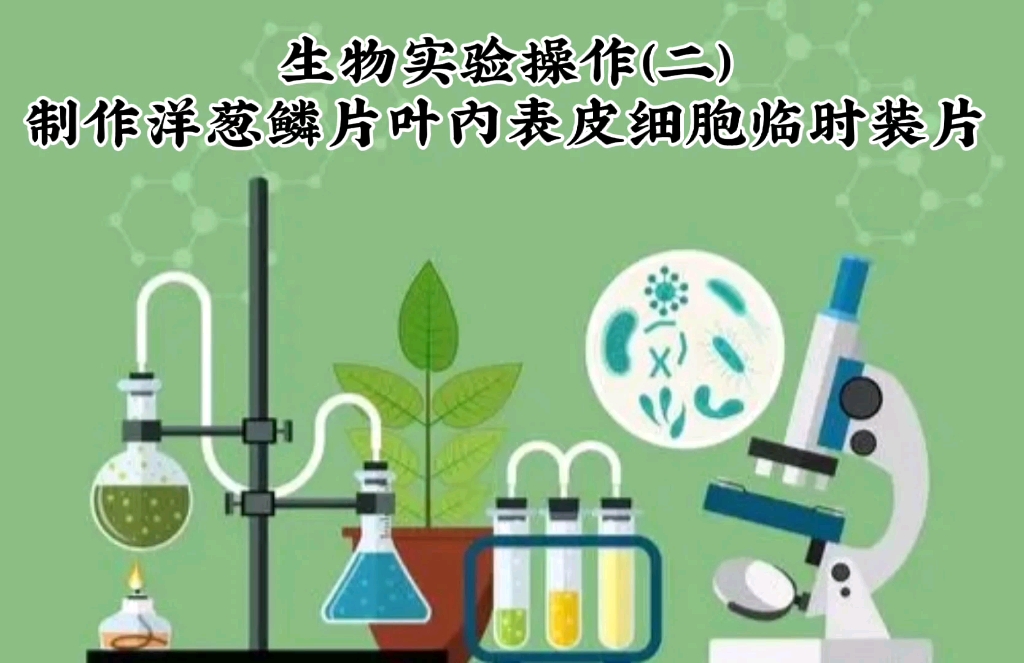 生物实验操作(二)《制作洋葱鳞片叶内表皮细胞临时装片》