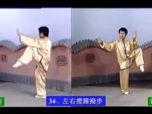 88式杨氏太极拳 正背合一 李德印主讲 曲志远演示 编辑阴爱寿