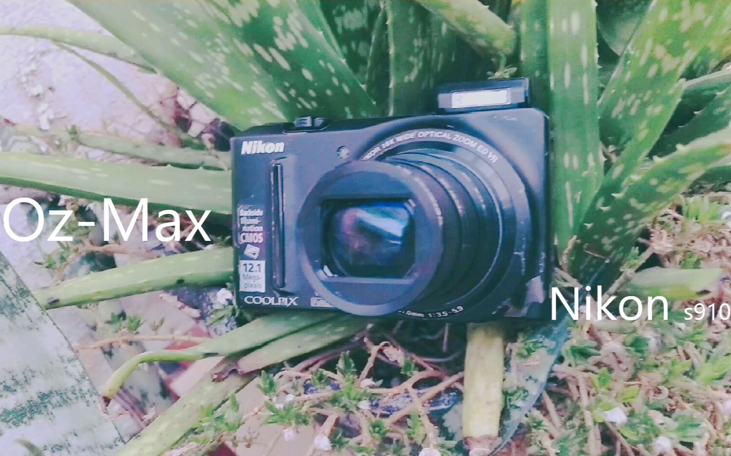186元的Nikon S9100,卡片式长焦相机现在还能拍什么?