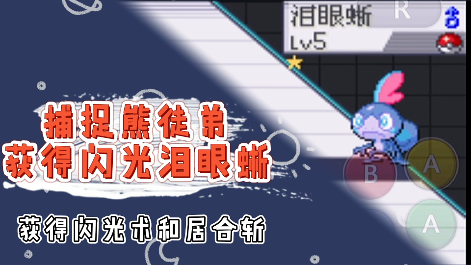 口袋妖怪去吧 皮卡丘第二期,捕捉熊徒弟获得闪光泪眼蜥