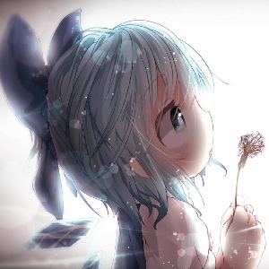 狐狸会翻跟头呀 