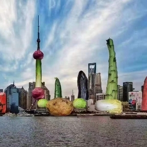 上海升学与买房 