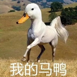 2022年高考生加油 