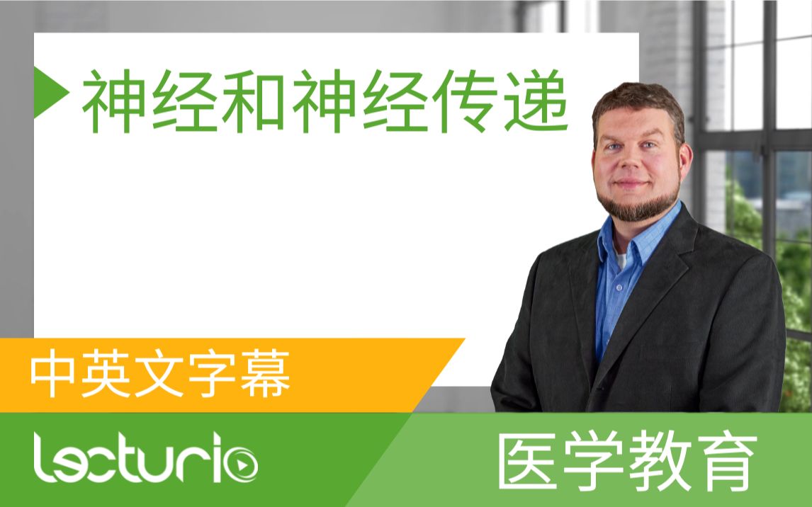【Lecturio医学教育】神经和神经传递 – 生理学