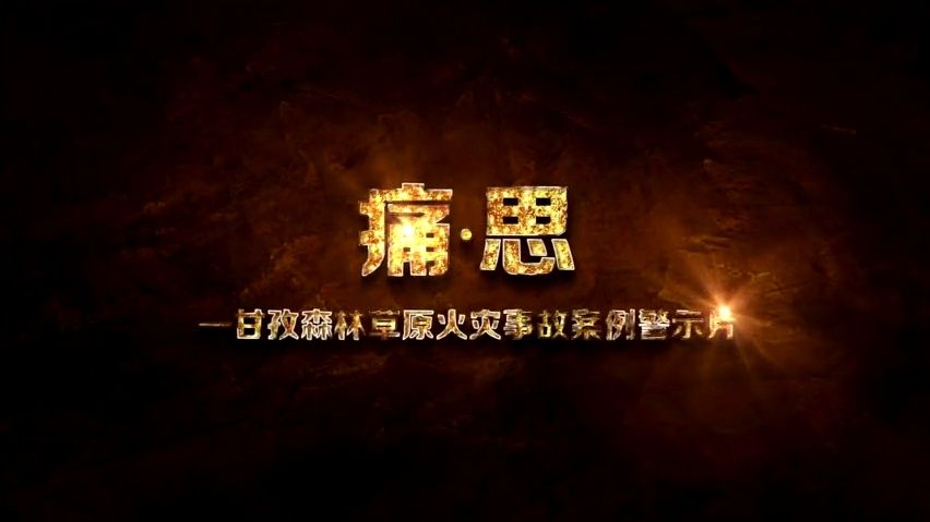 视频:2020年甘孜森林草原火灾事故案例警示片