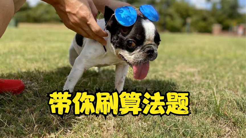 帮你拿offer -- 带你刷算法题(111) #计算机 #算法
