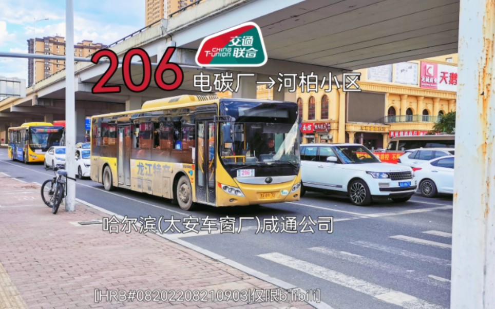 【冰城公交#08】哈尔滨公交206路pov (电碳厂→河柏小区)