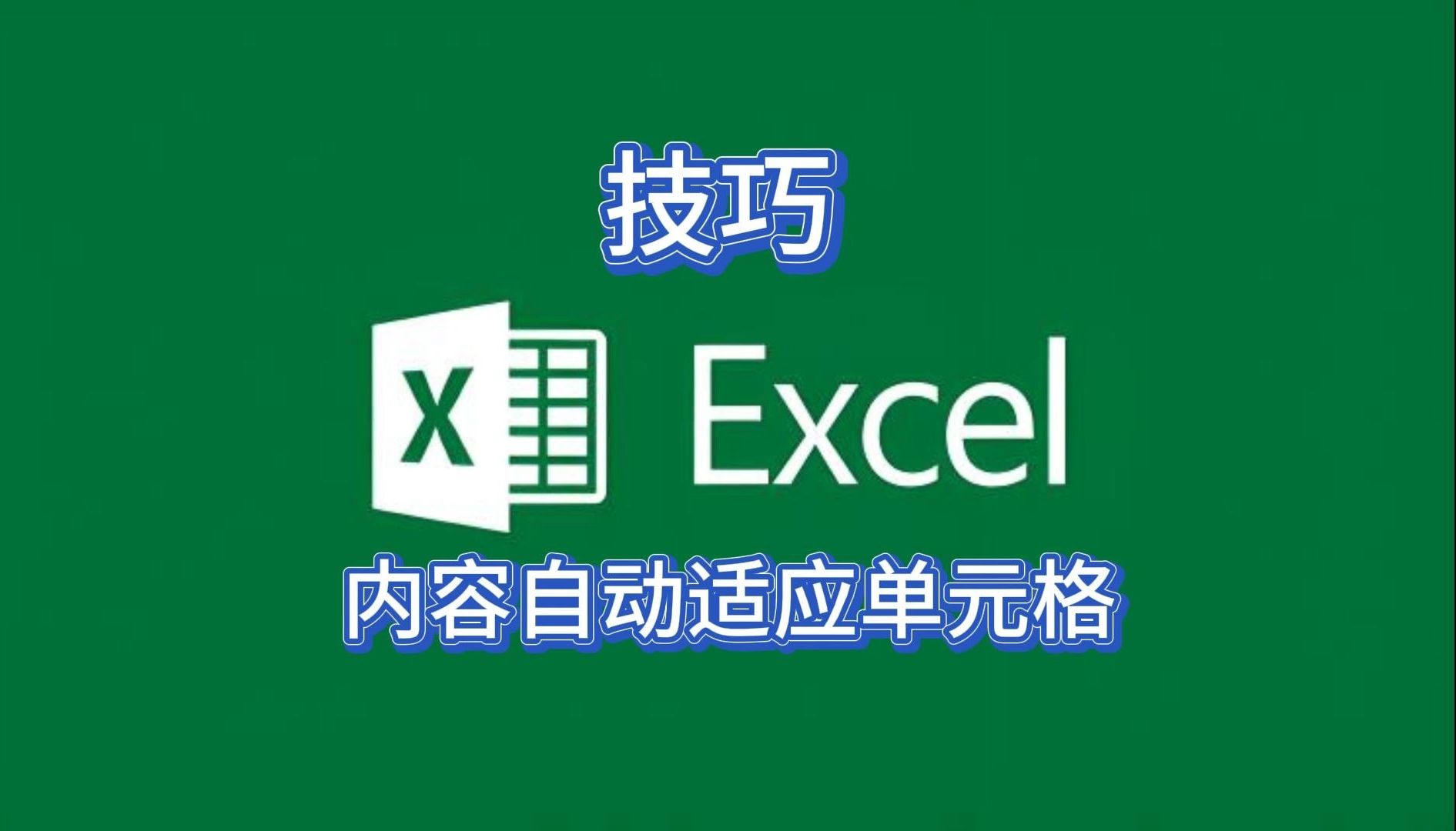 第39集 Excel高手这样使内容自动适应单元格