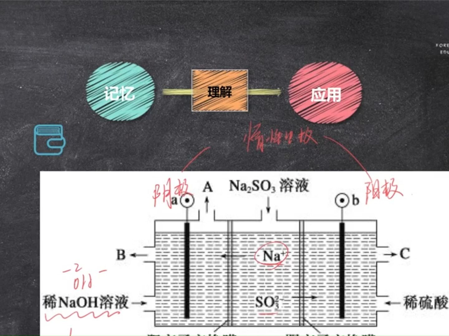 宁馨高级倾听者培训课程松果倾诉希星