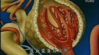 滤过作用