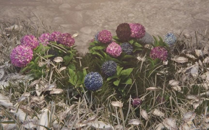 【Blender】植物生长文件使用scatter5.2插件制作