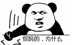 究極绿宝石3居然用不了穿墙金手指,包括作弊码