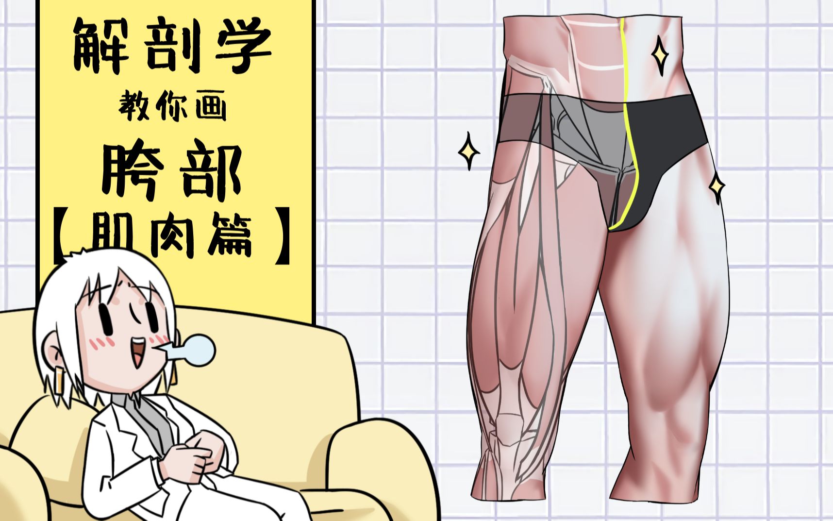 用解剖学教你画 胯部/大腿 ?!【肌肉篇】