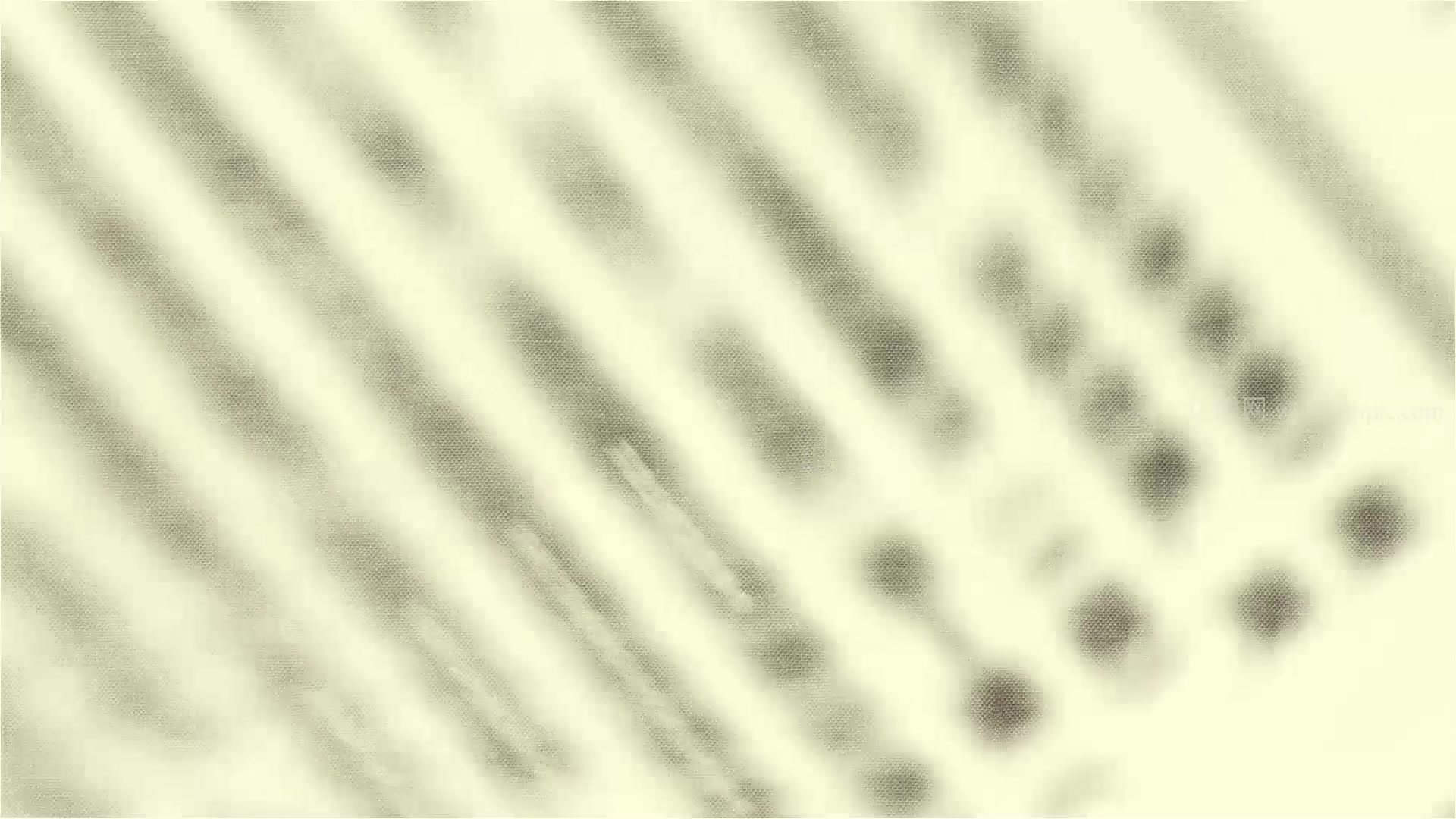 特色疫情新闻报纸宣传视频