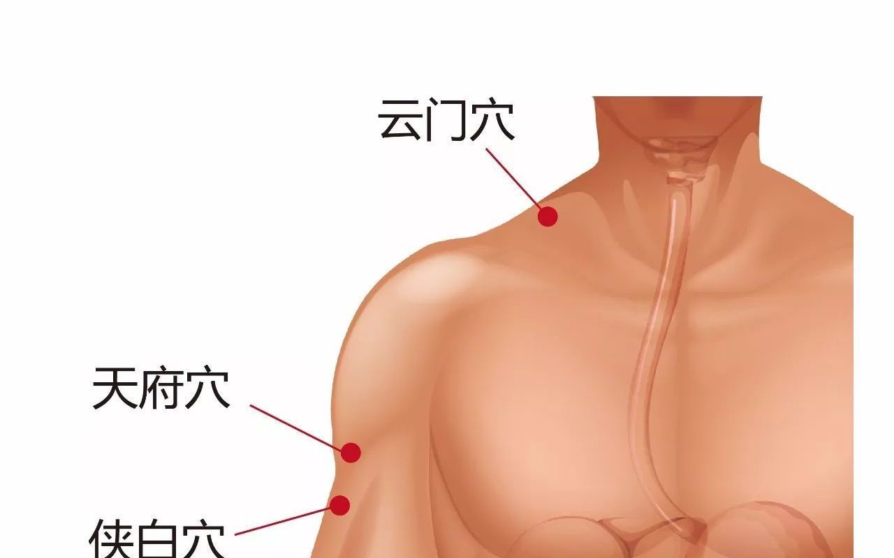 神奇的穴位——咳嗽,气喘,肩膀痛,快来试试云门穴。