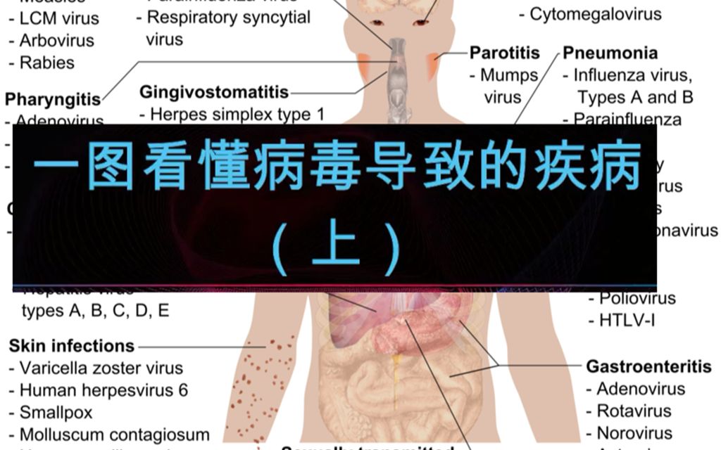 一图看懂病毒感染导致哪些疾病(上)