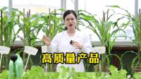 氮 磷 钾 有什么作用?