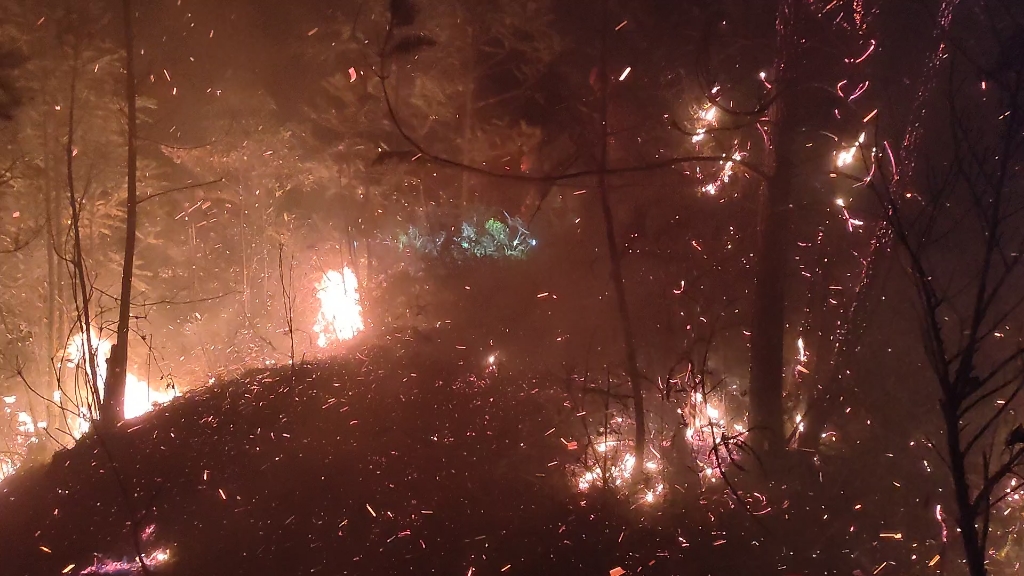 森林火灾,带你身临其境