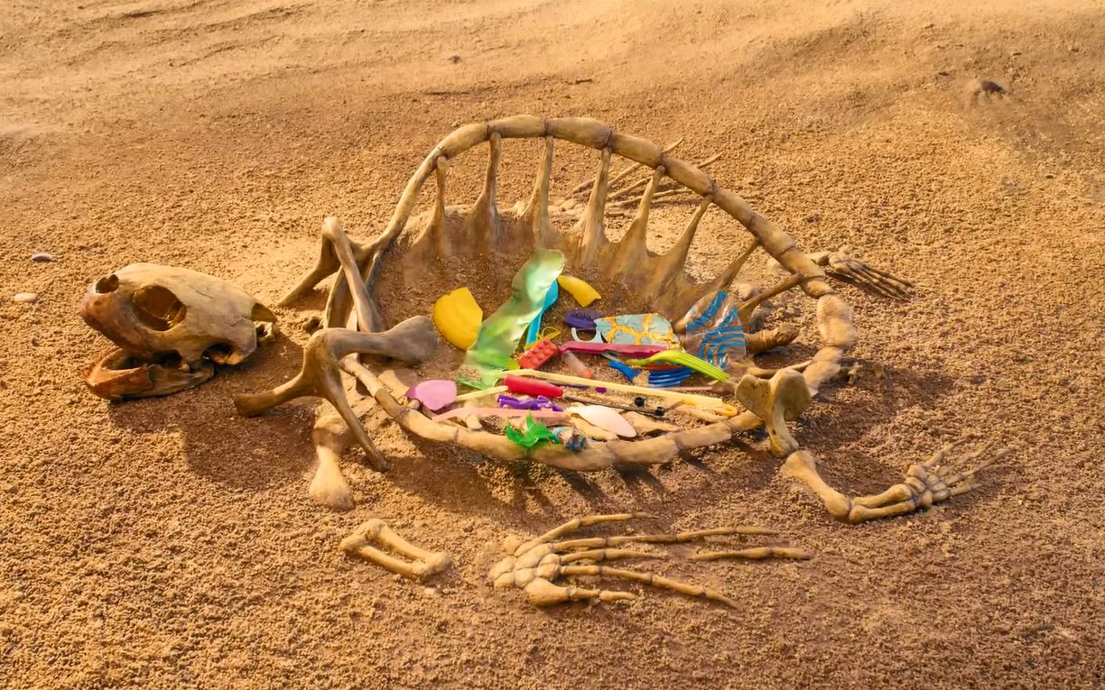 世界地球日动画短片:《鱼》