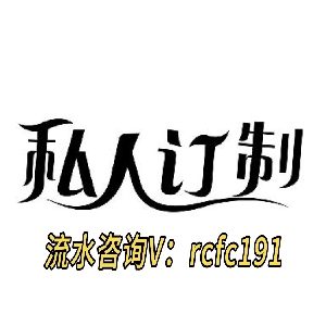 签证入职薪资流水先生 