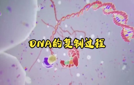 【生物动画】DNA分子复制的过程