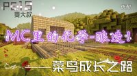 【麦大叔】MC新手教程pe15-我们来学学酿造药剂!